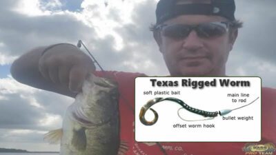 Best Bass Lures For Pond Fishing: Top 5 Lures For Fishing