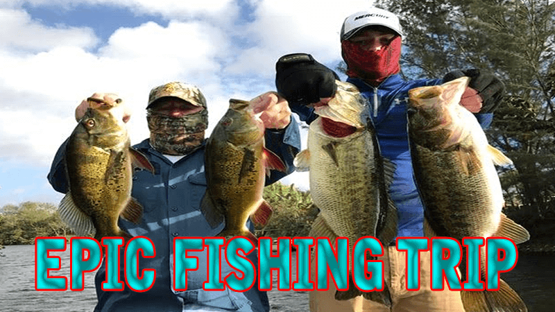 Best #1 Largemouth & Peacock Bass Fishing Golden Gate Canals