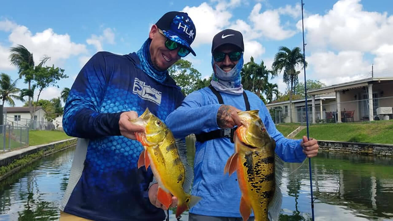 Miami Urban Peacock Bass Fishing: Captain Robert Miley