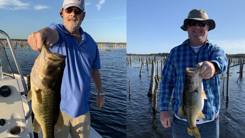 Awesome Rodman Reservoir Fishing For Florida Largemouth Bass