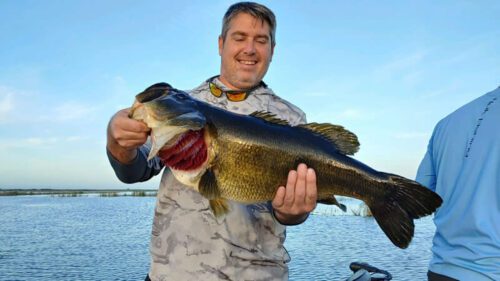 Guided Bass Fishing In Florida: What You Need To Know & Why