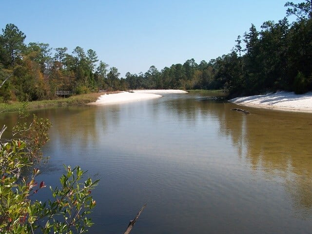 Blackwater River In Florida #1 Guide To Park With Activities