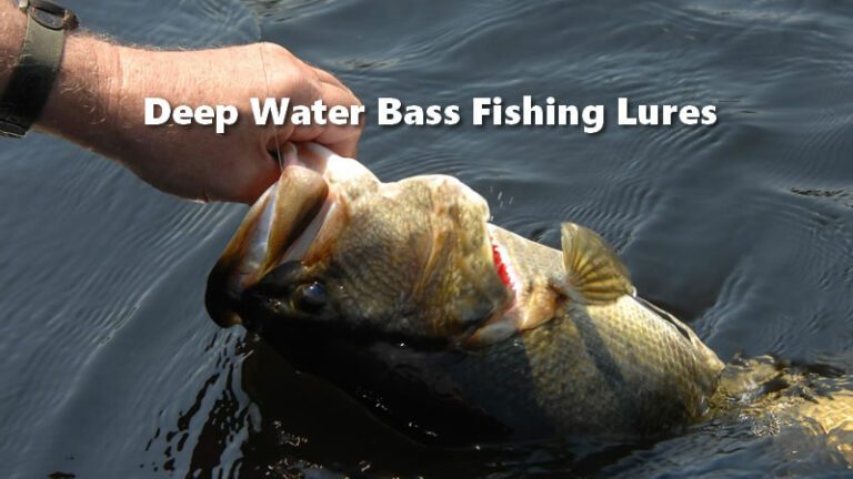 The 5 Best Ways to Use Deep Water Bass Fishing Lures