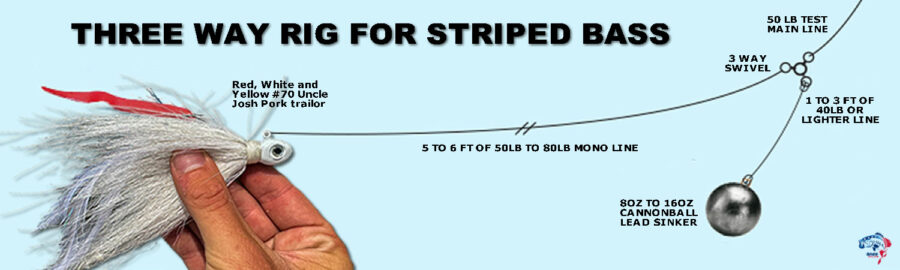 Master the Striped Bass Rig: Top Rated Rig for Striped Bass!