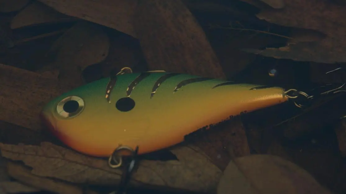 9 Top Lure Colors: Best Picks Muddy Water Vs Clear Water